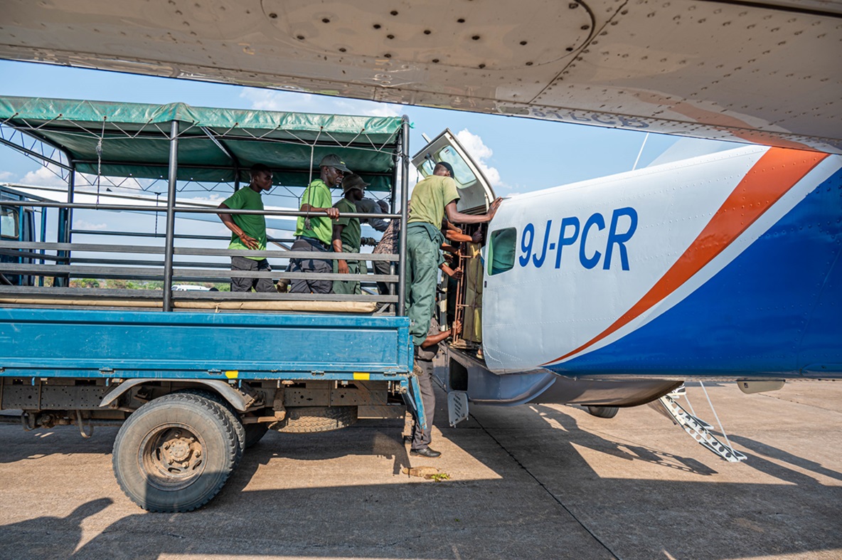 WINGS OF COMPASSION – PROFLIGHT AND PROCHARTER AIRLIFT BABY ELEPHANT TO ...